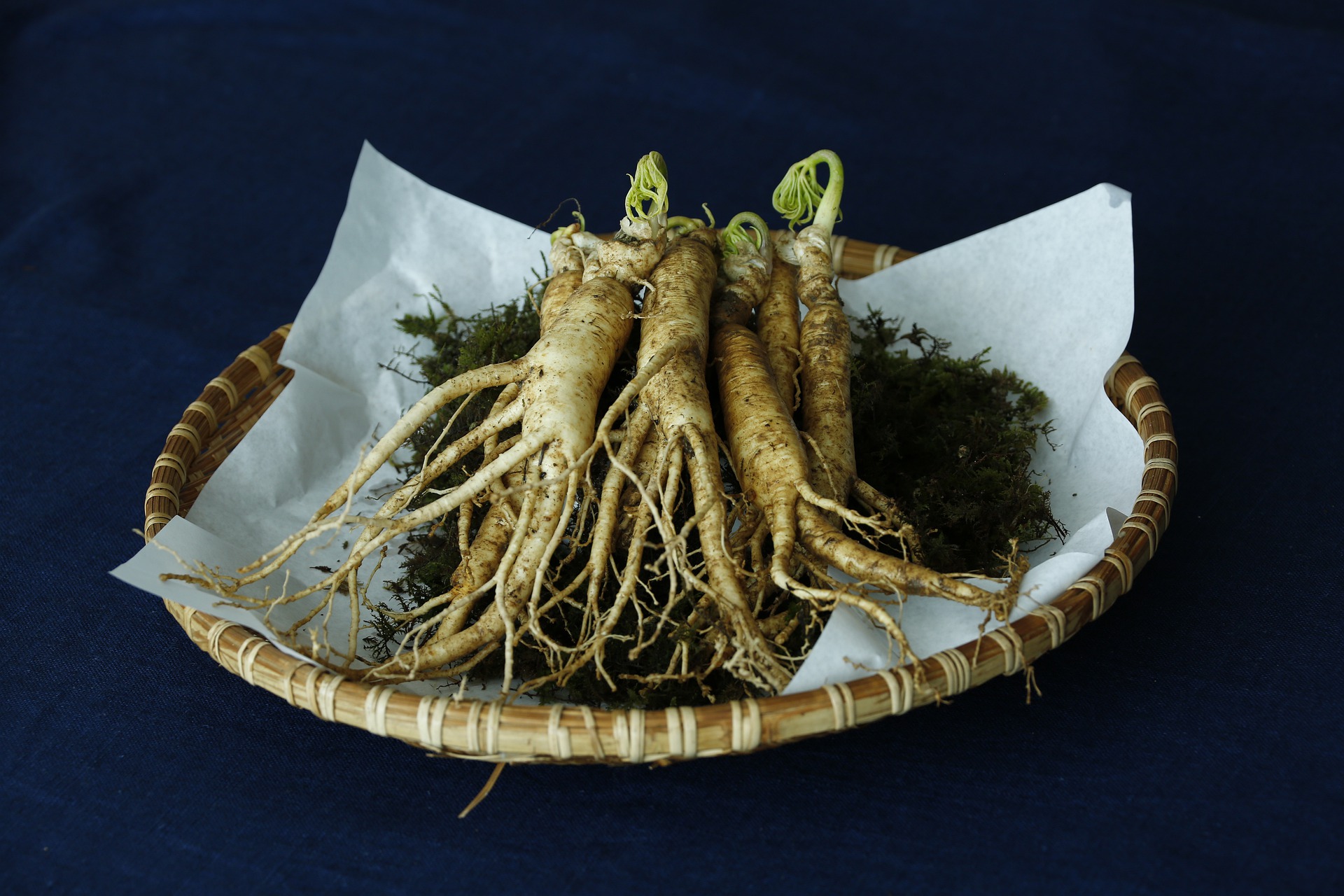VARIOUS TYPES OF GINSENG AND ITS USE. - Prime Power Ginseng store